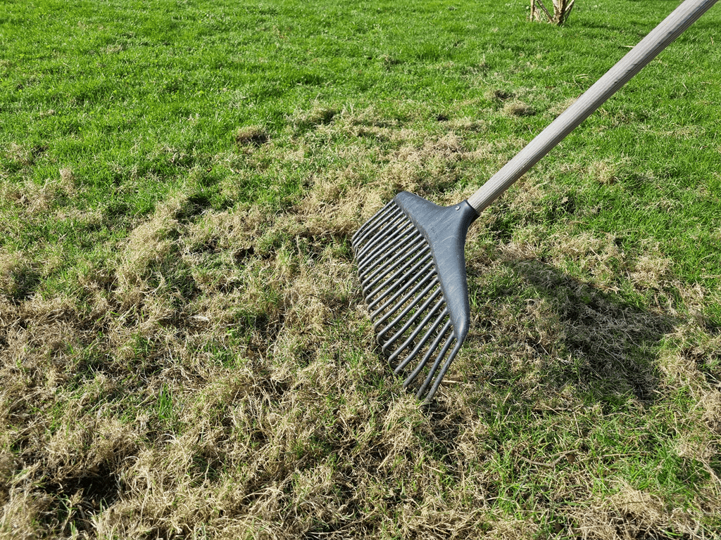 Toppdressing av plen - tips til hvordan du gjør det | Grønn Vekst